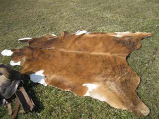 Hides, Horns & Skulls – Texas Longhorn Ranch